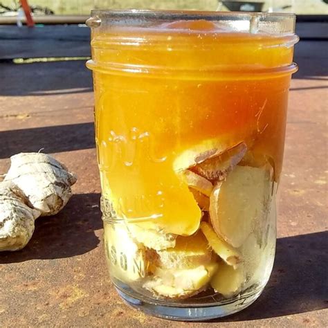 Fermented Ginger Honey Your Probiotic Power Partners Food For Life