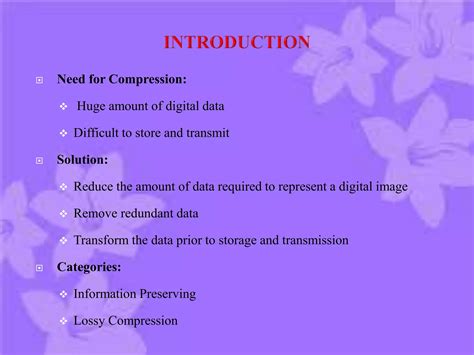 fundamentals and image compression models pptx data storage and
