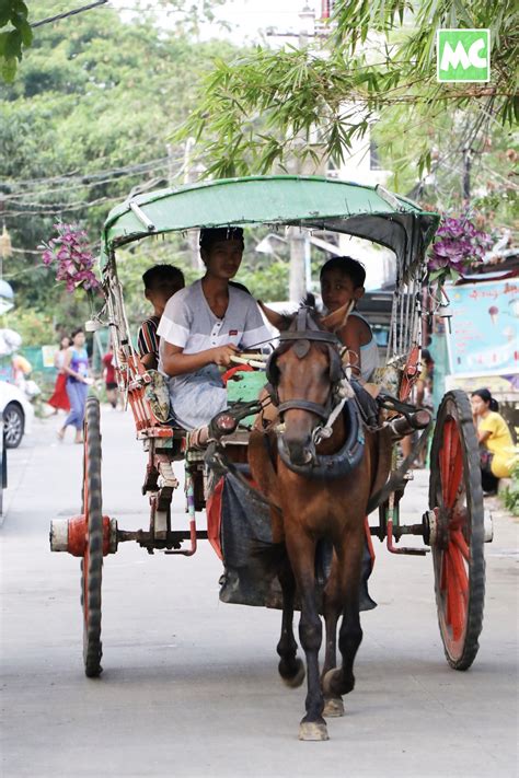 ၁၄ နှစ် တိုင် အပျော်စီး မြင်းလှည်းမောင်း ဝမ်းစာရှာခဲ့သူ