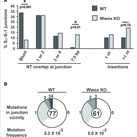 Analysis Of Class Switch Recombination Junctions A Naïve B Cells