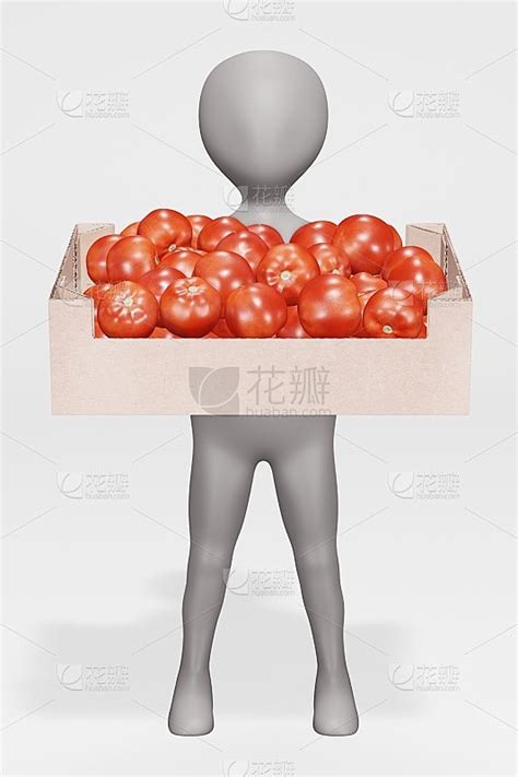 三维渲染的字符与番茄在盒子