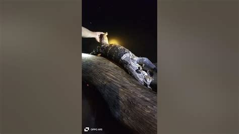 ทำมะชาดบ้านนา Youtube