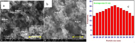 Sem Image Of A Tio2 And B P C Tio2 Respectively And C Particle