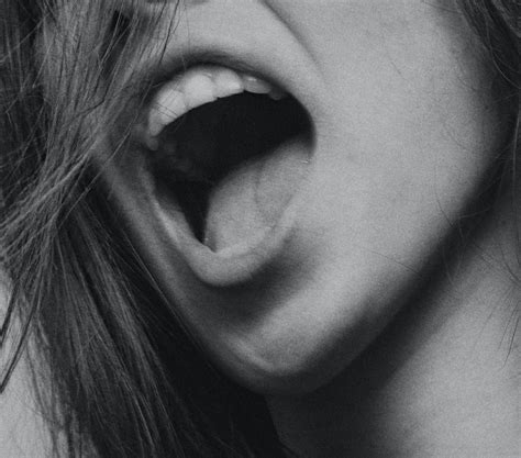 The Shape Of Your Voice Predicting Vocal Tract Geometry From Spectral