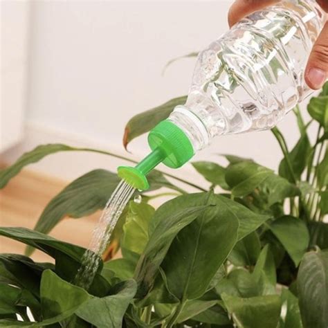 Jual Botol Semprot Air Kecil Untuk Menyiram Tanaman Shopee Indonesia