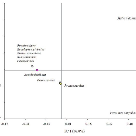 Principal Coordinates Analysis Obtained With Its Markers For Isolates Download Scientific