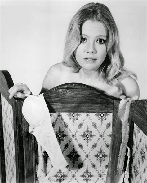 Slice Of Cheesecake Hayley Mills Pictorial