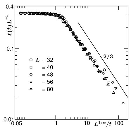 Log log plot of Y y vs y for different system sizes for ρ Download Scientific