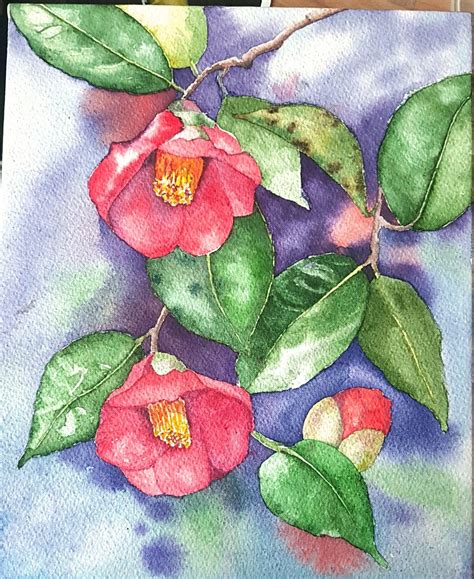 사월의 동백꽃 쉬운 수채화 그림 꽃그림 수채화 삽화