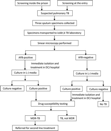 Flow Chart Of Tuberculosis Tb Intervention At Dhaka Central Jail