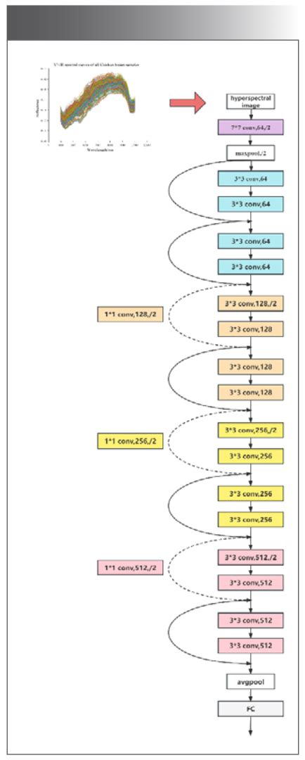 Detecting Chicken Freshness Utilizing Vnir Swir Spectroscopy And Data