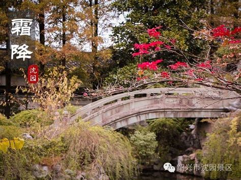 沈園物候霜降 蕭條芳歲闌 每日頭條