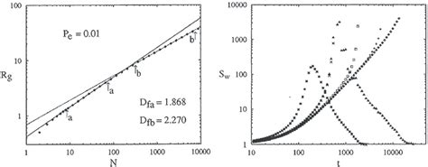 left a log‐log plot of the average radius of gyration as a function of