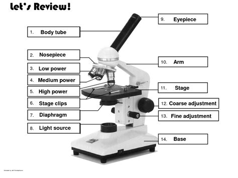 The Compound Microscope Worksheets
