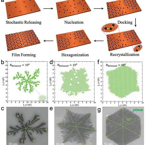 2d Dla Model Combining Fractal Theory Based Dla And The Physical Download Scientific Diagram