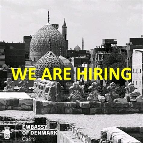 Mohamed Youssef On Linkedin Great Opportunity