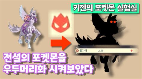 전설의 포켓몬 우두머리 사이즈는 어떨까 키젠의 포켓몬 실험실 포켓몬스터 레전드 아르세우스 Youtube