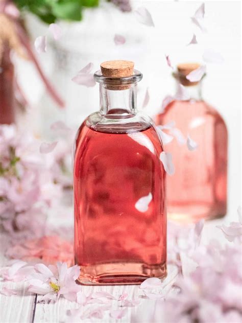 Monin Cherry Blossom Syrup Cocktail Best Quality Th