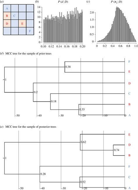 Simulation On A Two Dimensional Square Lattice With Four Populations Download Scientific