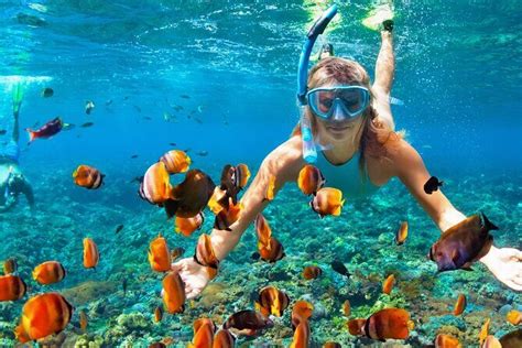 Coral Reef Snorkeling Expedition From Cancun With Beachside Lunch