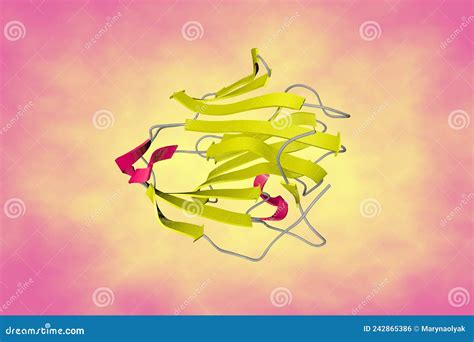 Crystal Structure Of Human Sex Hormone Binding Globulin Shbp Ribbons Diagram In Secondary Crystal Structure Of Human Sex Hormone Binding Globulin Shbp Ribbons Diagram In Secondary