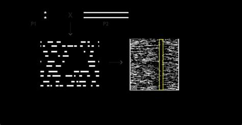 Schematic Of Our Baseline Simulation Scenario Image Input For The Download Scientific Diagram
