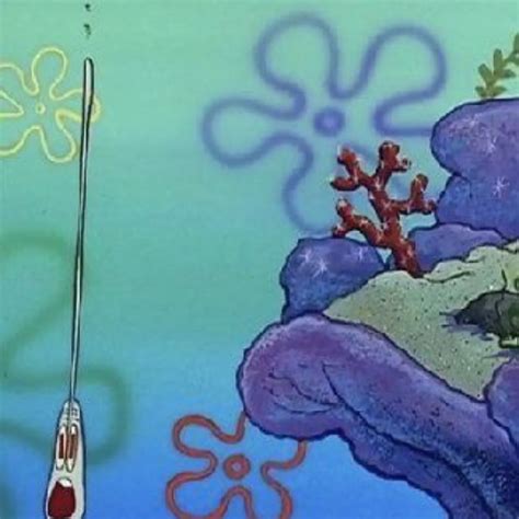 Sponge Fan • Instagram Photos And Videos
