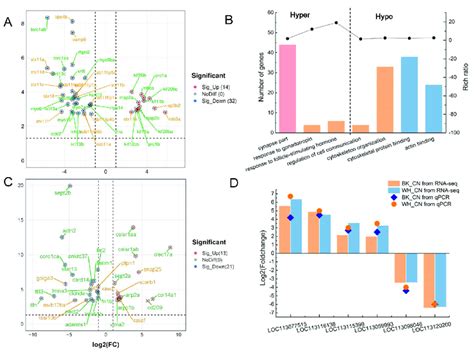 The Differentially Expressed Genes Degs And Differentially Methylated Download Scientific