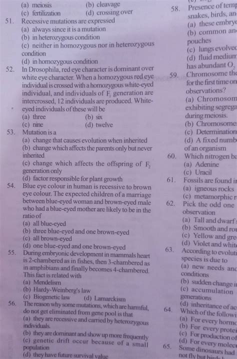 During Embryonic Development In Mammals Heart 63 According To Evoluti