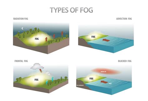 Premium Vector Types Of Fog Diagram