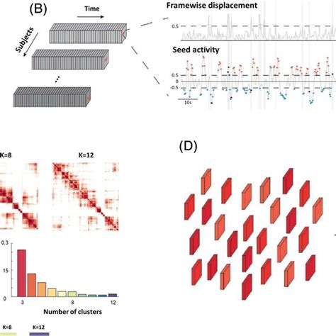 Functional Relationship Of Co‐activation Patterns Caps Expression