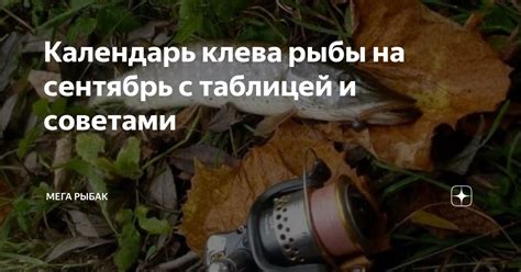 Календарь клева рыбы на сентябрь с таблицей и советами Мега Рыбак Дзен