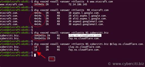 How To See Time To Live TTL For A DNS Record NixCraft