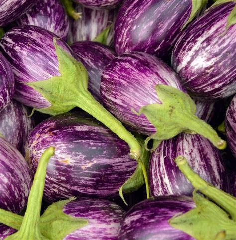 Melanzane Striate