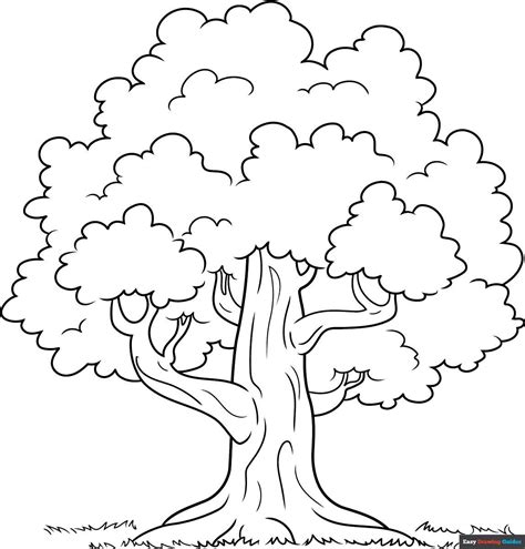 Tree Outline