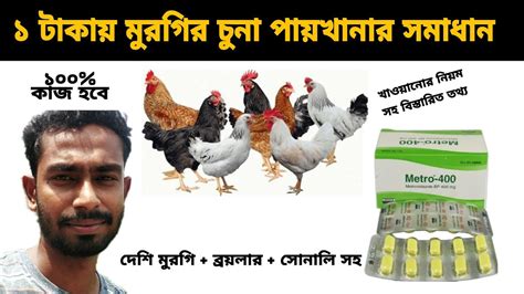 মাএ ১ টাকায় দেশি ব্রয়লার ও সোনালী মুরগির চুনা পায়খানা বন্ধ করুন।কম টাকায় মুরগির রোগের ওষুধ ও