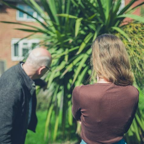 How To Identify Tree Diseases And Pests