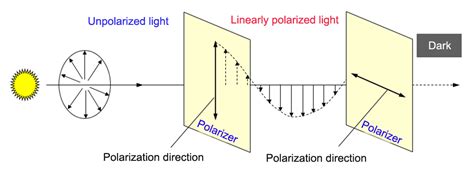 The Basic Structure And Principle Of Lcd Displayliquid Crystal Display