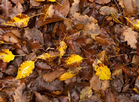 Grid Themes Advanced Grid Builder Grid Themes Advanced Grid Builder