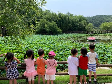 어린이집 종류 및 장점과 단점 비교하기 국공립 공공형 민간 가정 직장 등 네이버 블로그