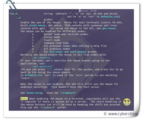 How To Enable Mouse To Copy And Paste In Vim Nixcraft