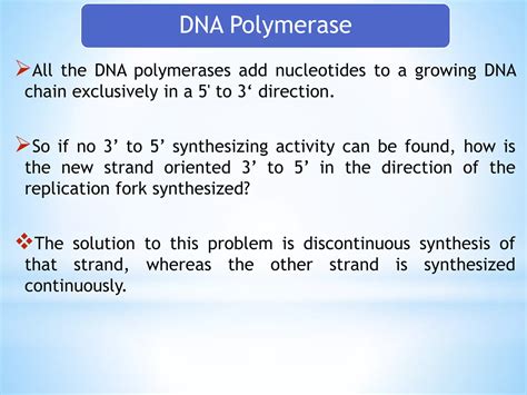 Dna Replication In Eukaryotes Pptx