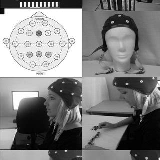 ERP Data Analysis A ERP Data Selection B ERP Data Transformation Download Scientific