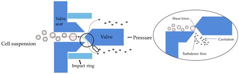 Physical Cell Disruption Technologies For Intracellular Compound