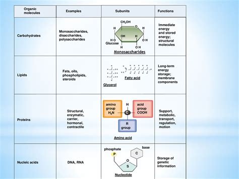 Welcome To Biology 067 Human Biology Ppt Download