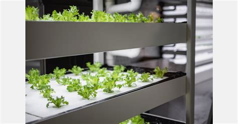 Three Agtech Trends To Watch In 2023