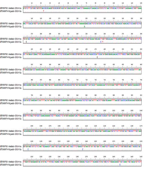 Multiple Sequence Alignment And Homology Of The Mers Cov Genome Download Scientific Diagram