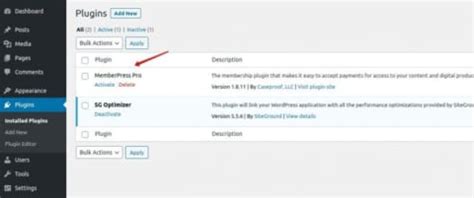 How To Fix The Cant Activate Plugin Error In WordPress ThemeWaves
