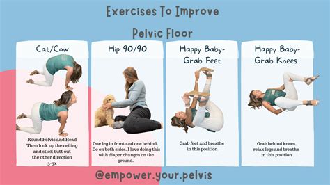 Sample Of Pelvic Floor Exercises