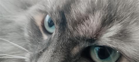 Infinix Note Vip Review The Camera Is The Focal Point For This Budget Phone Creative Bloq